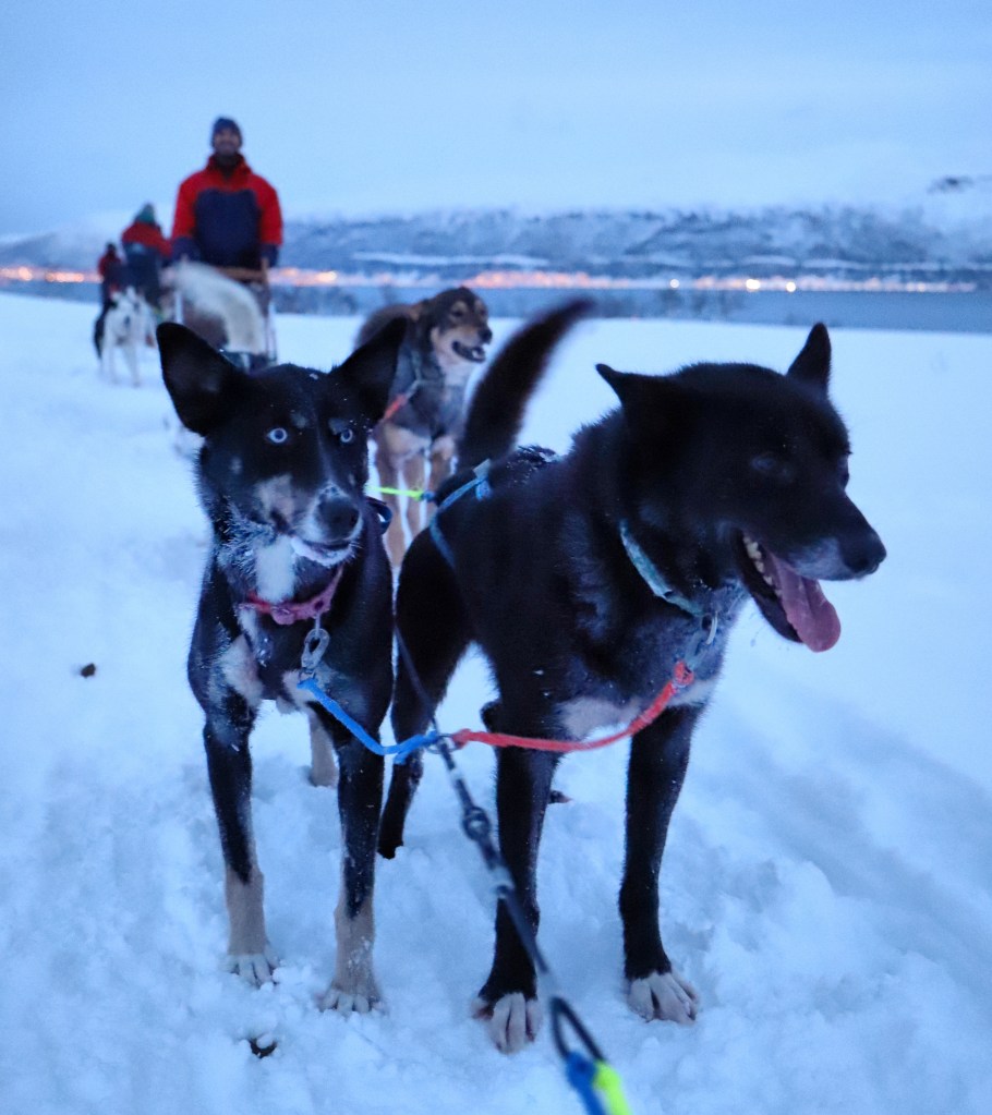 Norway: Chasing the Northern Lights – Ahmed Al Shaer